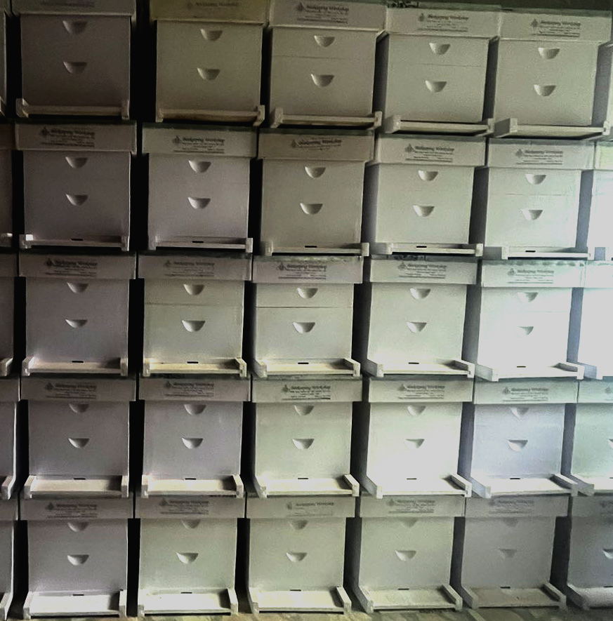 The Beekeeping Workshop,Godawari